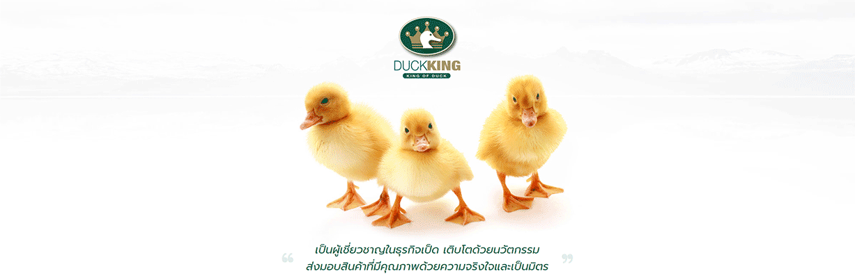 หางาน สมัครงาน กับ บริษัท ดั๊กคิง จำกัด - Bestjob.in.th